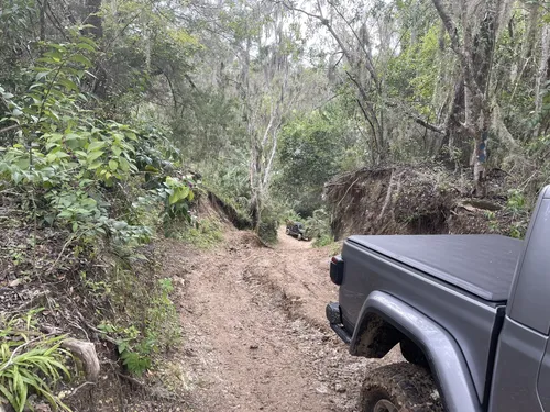 2023 Best 10 Off Road Driving Trails in Florida | AllTrails