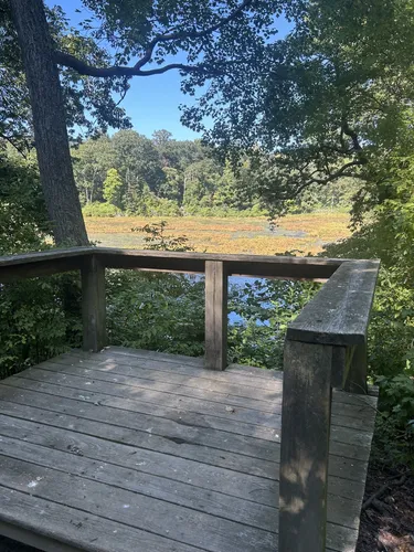 Best Hikes and Trails in Elk Neck State Park | AllTrails