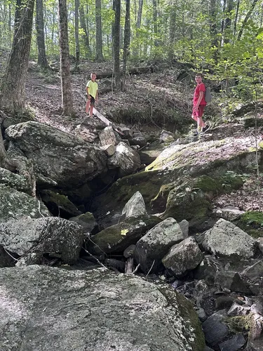 Best Hikes and Trails in Sessions Woods Wildlife Management Area ...