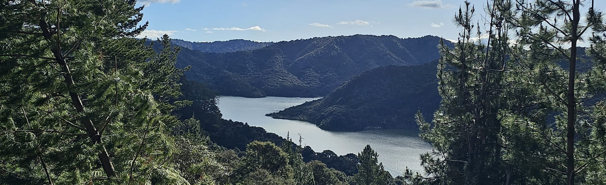 Mount Kohukohunui from Upper Mangatawhiri Campground: 97 bilder ...