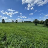 ChesLen Preserve Yellow Loop, Pennsylvania - 640 Reviews, Map | AllTrails