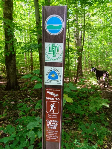 Best Hikes and Trails in Danby State Forest | AllTrails