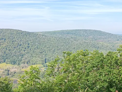 Best Hikes and Trails in Danby State Forest | AllTrails