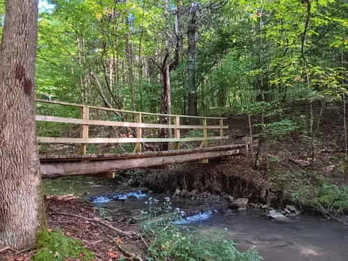 Best Hikes and Trails in Danby State Forest | AllTrails