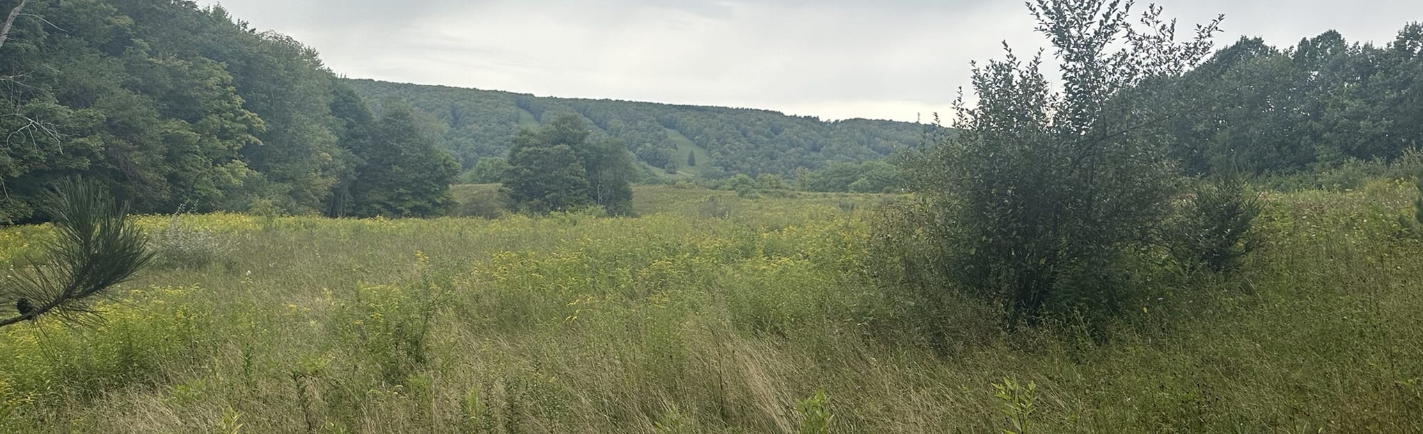 Sprague Brook Park Trail, New York - 1,209 Reviews, Map | AllTrails