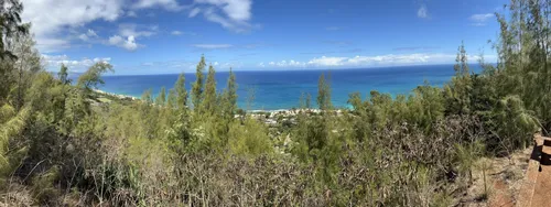 Best Hikes and Trails in Pupukea Paumalu Forest Reserve | AllTrails