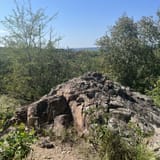 Devil's Honeycomb Trail , Missouri - 748 Reviews, Map | AllTrails