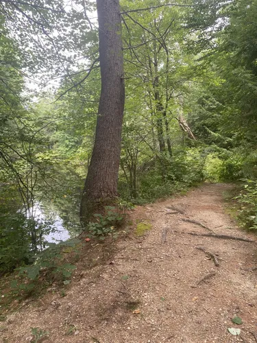 Best Hikes and Trails in Howard Park | AllTrails