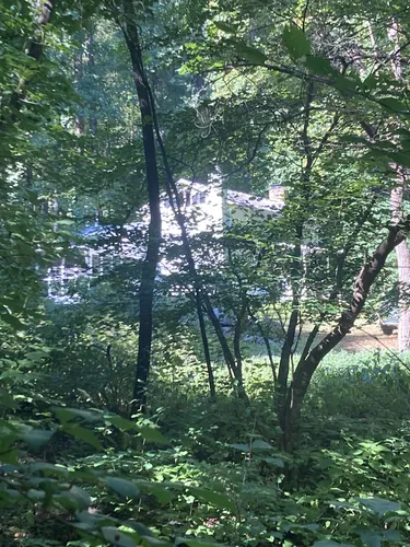 Best Hikes and Trails in Rapidan Wildlife Management Area | AllTrails