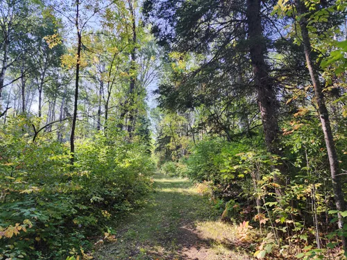 Best River Trails in Dauphin | AllTrails
