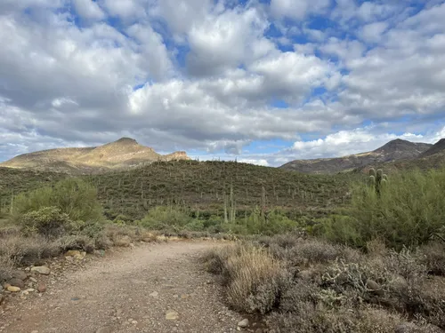 Best Historic Site Trails in Spur Cross Ranch Conservation Area | AllTrails