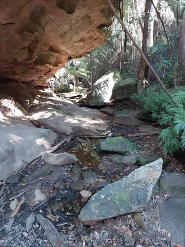 Best Hikes and Trails in Cania Gorge National Park | AllTrails