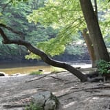 Viaduct Park, Ohio - 507 Reviews, Map | AllTrails