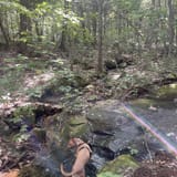 Copple Crown Mountain, New Hampshire - 574 Reviews, Map | AllTrails