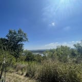 Bee Tree Lake Loop, Missouri - 548 Reviews, Map | AllTrails