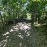 Bee Tree Lake Loop, Missouri - 546 Reviews, Map | AllTrails