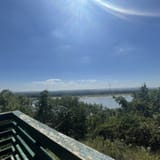 Bee Tree Lake Loop, Missouri - 507 Reviews, Map | AllTrails