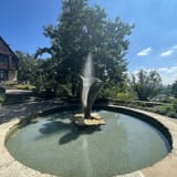 Bee Tree Lake Loop, Missouri - 546 Reviews, Map | AllTrails