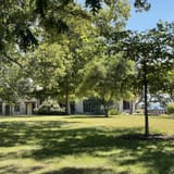 Bee Tree Lake Loop, Missouri - 507 Reviews, Map | AllTrails