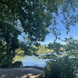Bee Tree Lake Loop, Missouri - 546 Reviews, Map | AllTrails