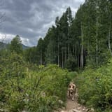 Purgatory Trail, Colorado - 906 Reviews, Map | AllTrails