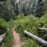 Purgatory Trail, Colorado - 906 Reviews, Map | AllTrails