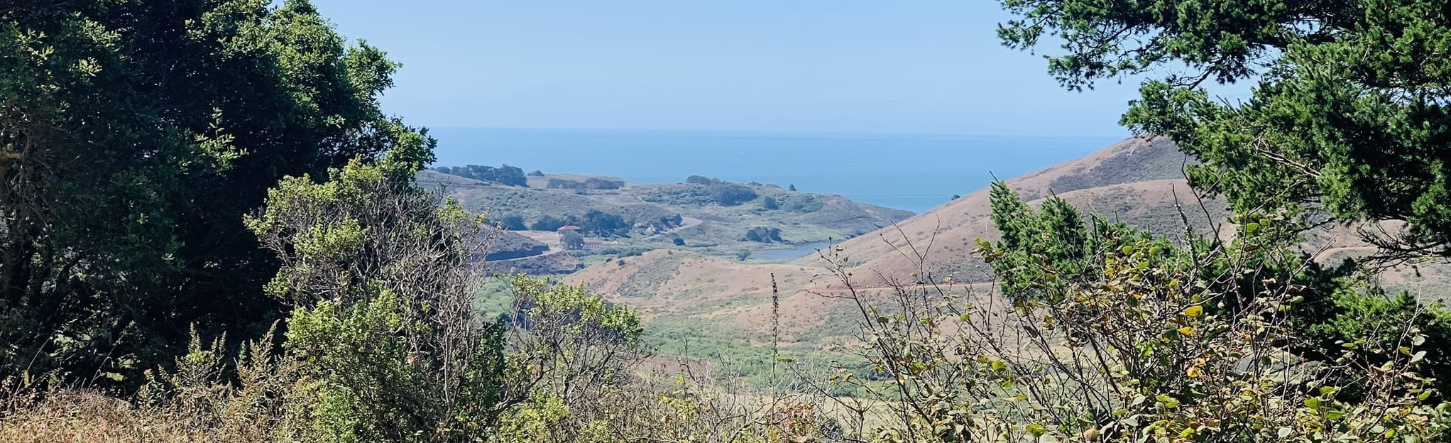 Gerbode Valley Loop: 1.971 foto - California | AllTrails