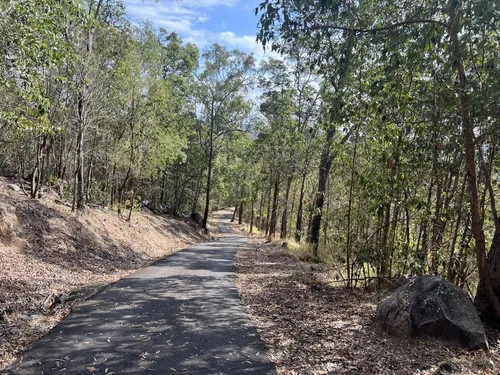 Best Hikes and Trails in Keperra Bushland Reserve | AllTrails