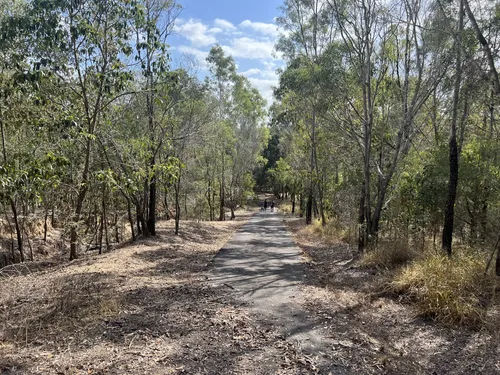 Best Hikes and Trails in Keperra Bushland Reserve | AllTrails