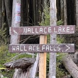 Wallace Falls and Wallace Lake Loop, Washington - 1,131 Reviews, Map ...
