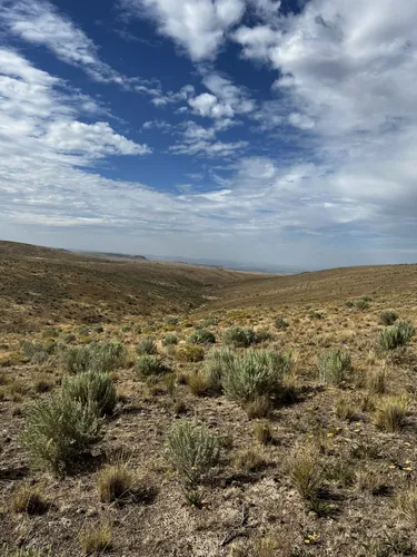 2023 Best Dogs On Leash Trails in Marsing | AllTrails