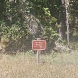 Bootjack Loop, California - 1,653 Reviews, Map | AllTrails