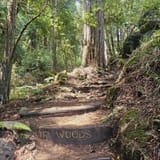 Bootjack Loop, California - 1,653 Reviews, Map | AllTrails