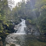 Great Gulf Trail, New Hampshire - 153 Reviews, Map | AllTrails