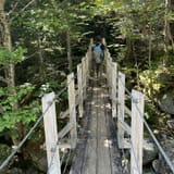 Great Gulf Trail, New Hampshire - 153 Reviews, Map | AllTrails