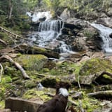 Great Gulf Trail, New Hampshire - 208 Reviews, Map | AllTrails