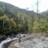 Great Gulf Trail, New Hampshire - 153 Reviews, Map | AllTrails