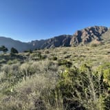 Basin Loop Trail, Texas - 923 Reviews, Map | AllTrails