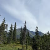Lost Lake via Primrose Trail, Alaska - 255 Reviews, Map | AllTrails
