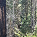 Angels Rest to Devil's Rest Loop Trail, Oregon - 1,143 Reviews, Map ...