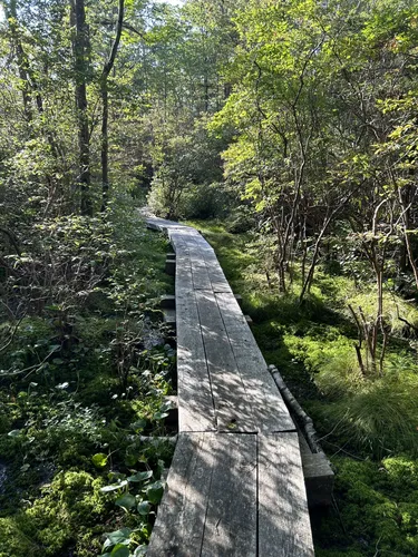 Best Hikes and Trails in Maple Tract Preserve | AllTrails