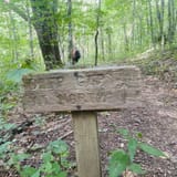 Appalachian Trail: Deep Gap to Dicks Creek, North Carolina - 88 Reviews ...