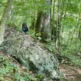 Appalachian Trail: Deep Gap to Dicks Creek, North Carolina - 88 Reviews ...