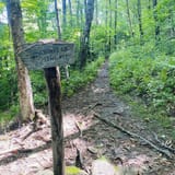 Appalachian Trail: Deep Gap to Dicks Creek, North Carolina - 88 Reviews ...