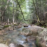 Sabbaday Falls , New Hampshire - 1,331 Reviews, Map | AllTrails