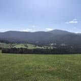 Long Gully Track Loop, Victoria, Australia - 58 Reviews, Map | AllTrails