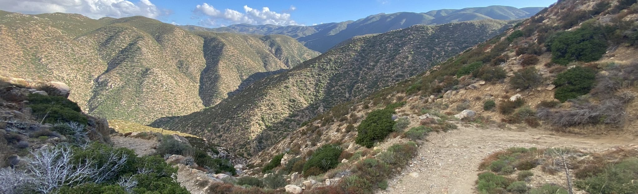 Mason Valley Truck Trail, California - 24 Reviews, Map | AllTrails