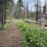 Lake Margaret Trail, California - 1,024 Reviews, Map | AllTrails