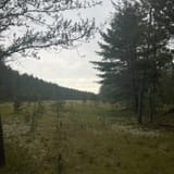 Silver Valley Loop Trail, Michigan - 84 Reviews, Map | AllTrails