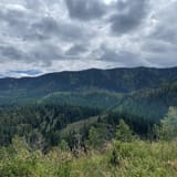 Coal Basin Trail, Colorado - 58 Reviews, Map | AllTrails